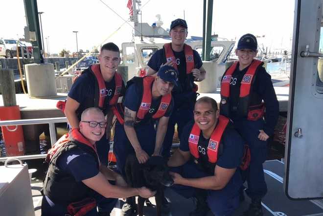 Coast Guard team rescues dog from Lake Pontchartrain