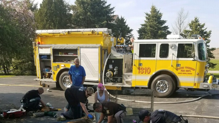 First responders help 7 dogs from fire in Indiana