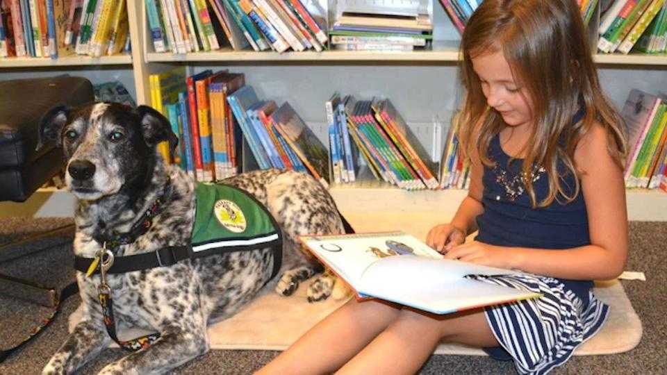 North Point library goes to dogs for DOGust