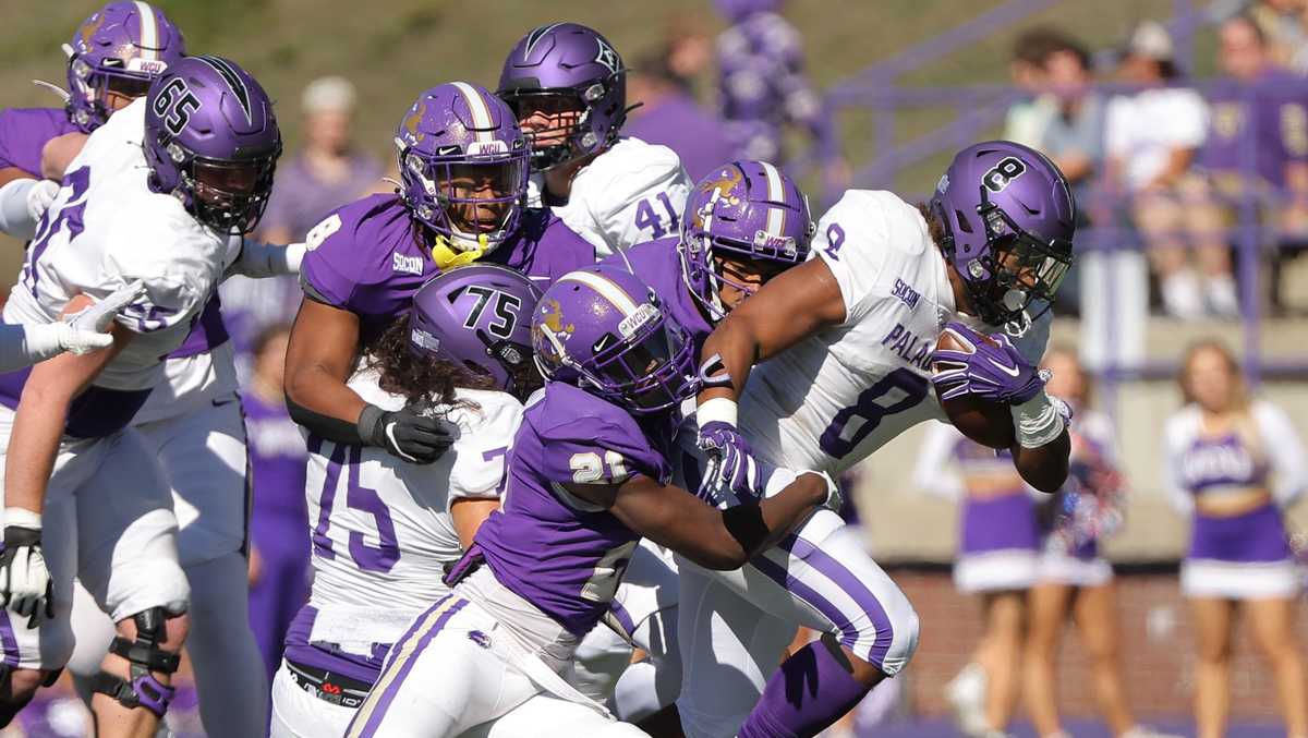 FCS NO. 3 FURMAN RUNS PAST NO. 8 WESTERN CAROLINA 29-17