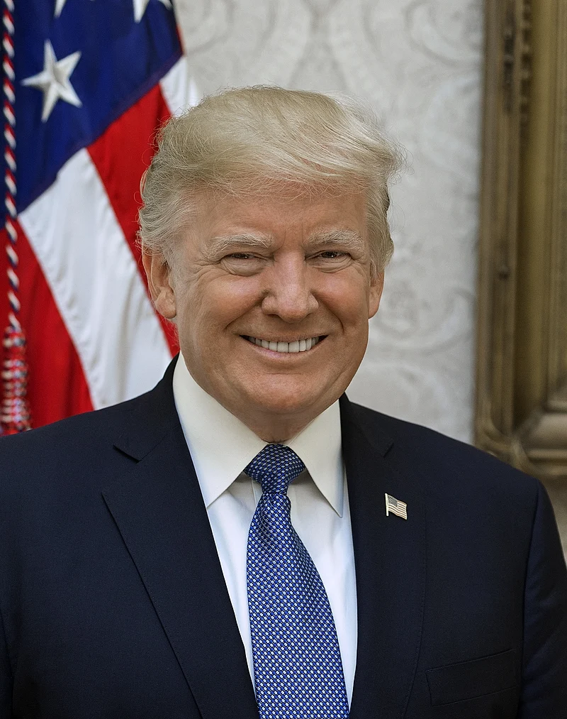 JD Vance's official vice presidential portrait released