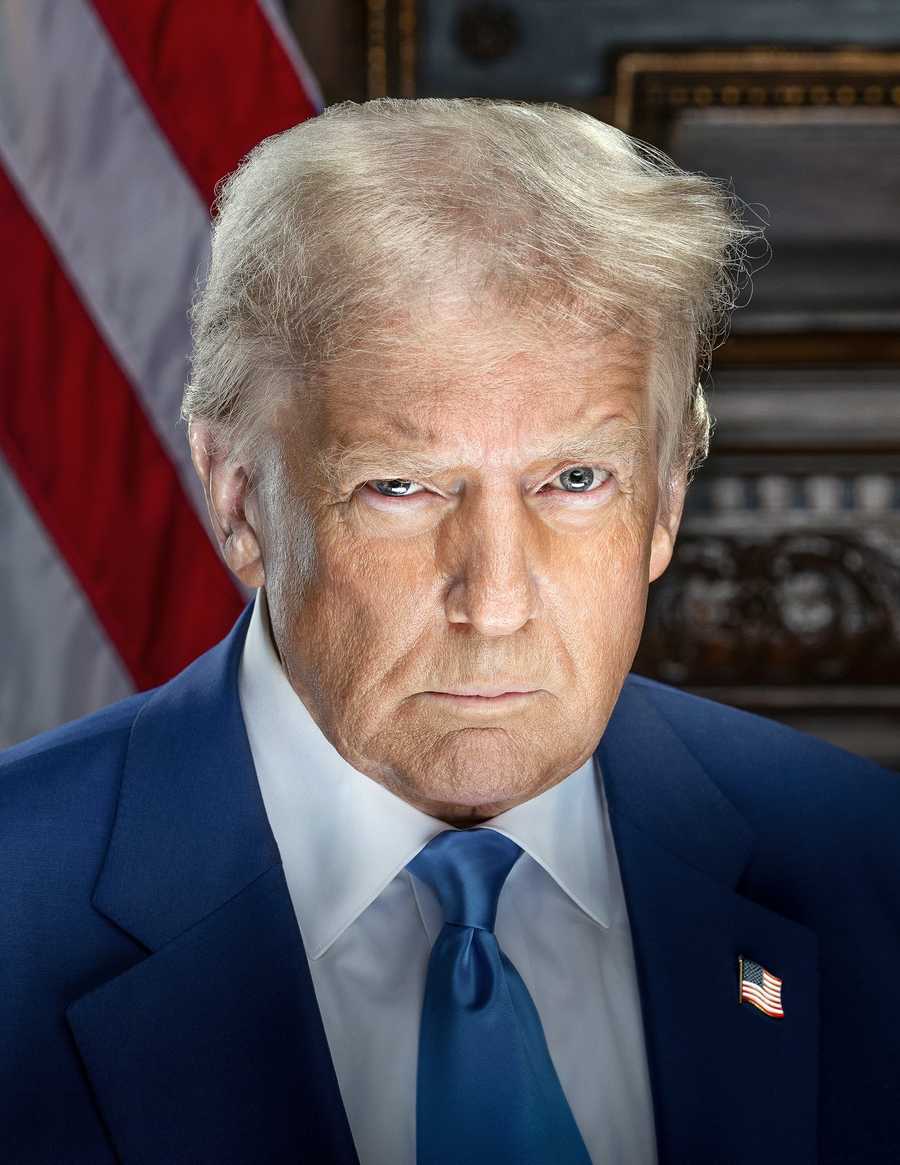 JD Vance's official vice presidential portrait released