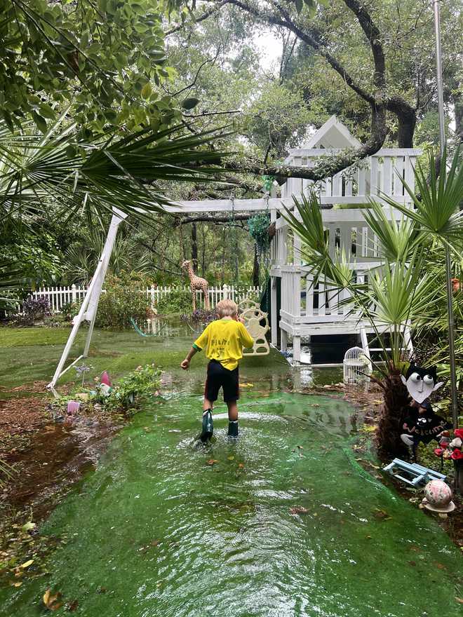 Donkeys in Florida use Tropical Storm Debby as excuse to hang inside