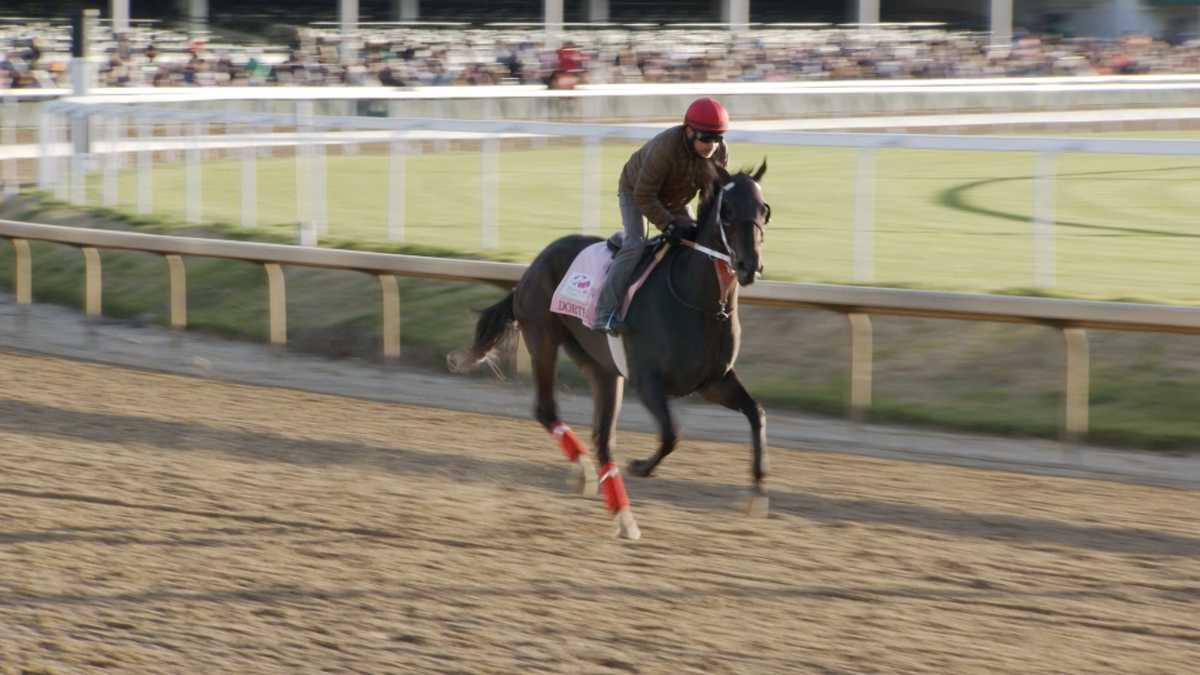 PHOTOS: See the fillies running in Kentucky Oaks 149