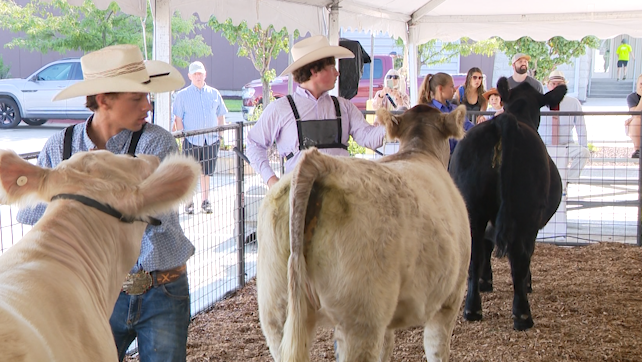 Douglas County Fair returns to Ralston Friday & Saturday