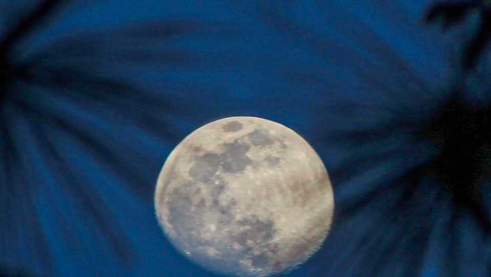 Double feature...Supermoon and Starlink satellites visible tonight