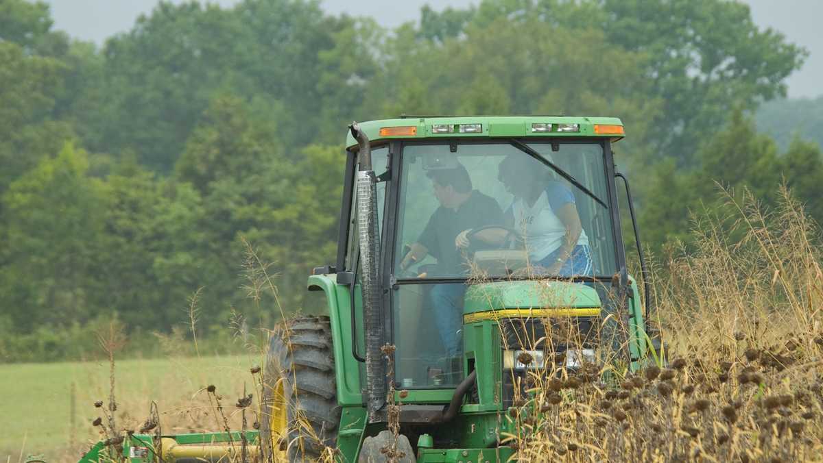You could make up to $10,000 by planting dove field, allowing public ...