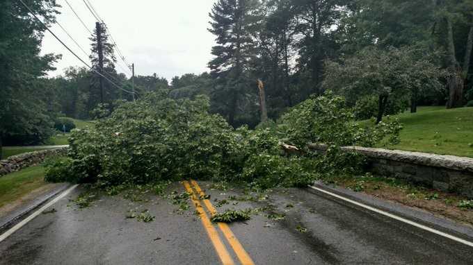 Severe thunderstorms topple trees, power lines