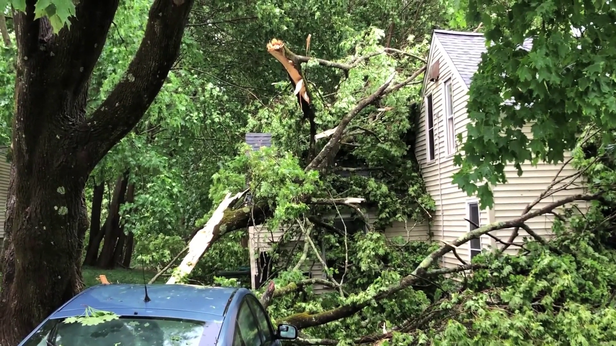 Severe thunderstorms topple trees, down power lines