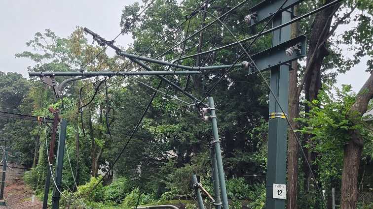 Downed wires disrupt Green Line D Branch service