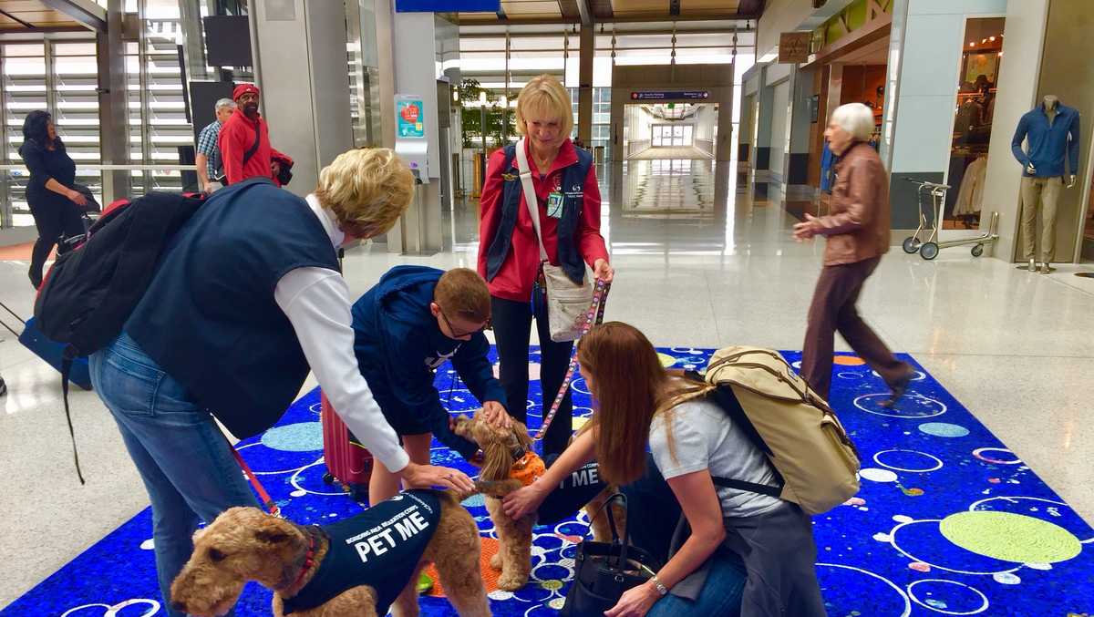 Flying for Thanksgiving? Here’s Sac airport checklist