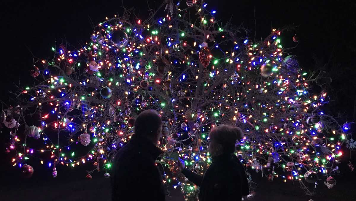 Community comes together to decorate Hughson family's healing tree