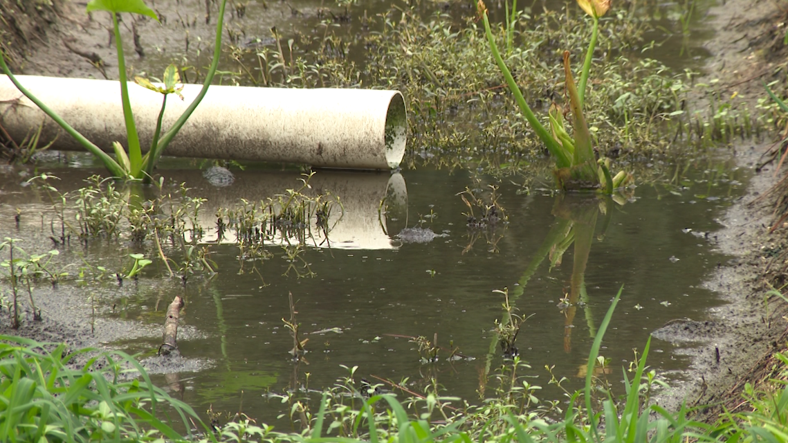 St. Tammany Parish president assigns task to address wastewater