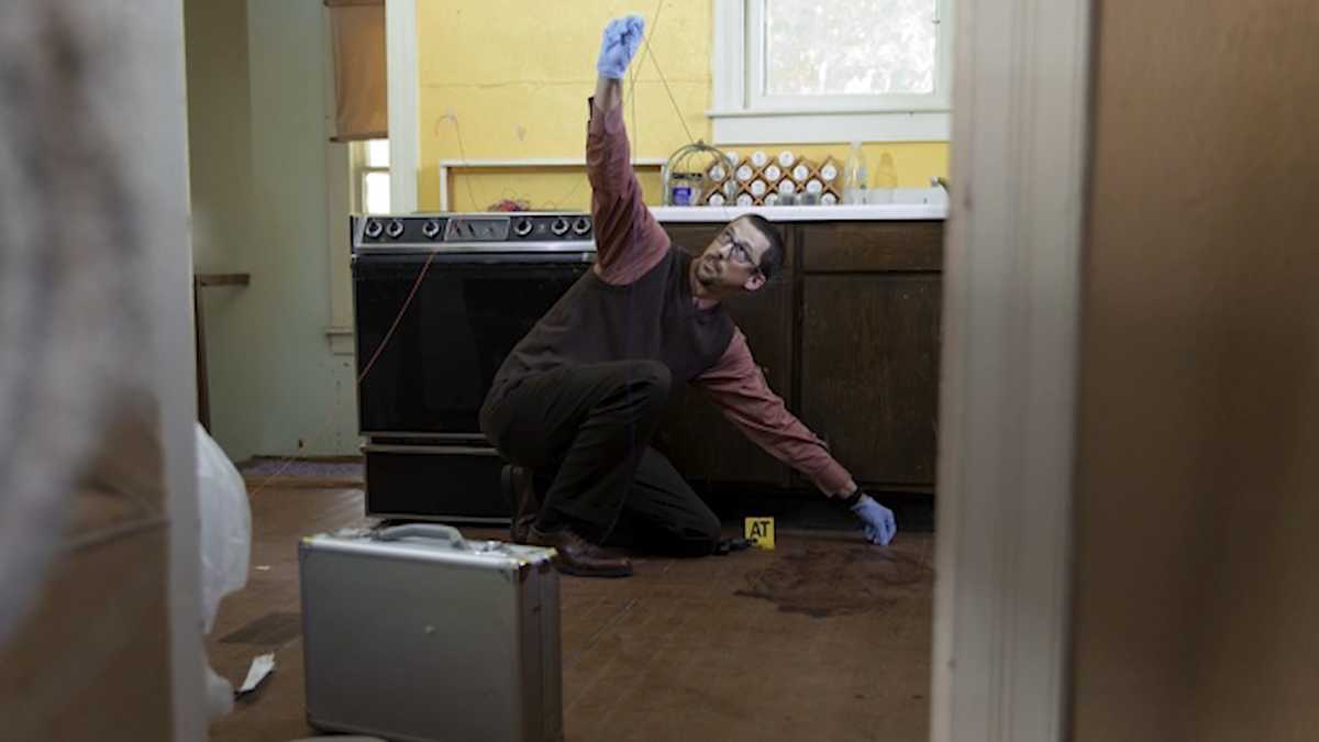 Meet 'Dr. Maggot': An entomologist that helps solve crimes with insects