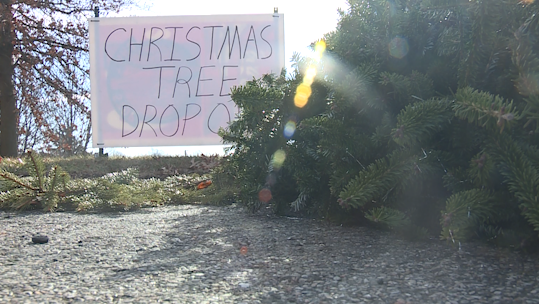 Be safe, recycle your Christmas Tree