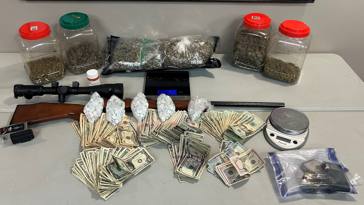 Georgia: Hartwell felon faces trafficking charges after drug bust