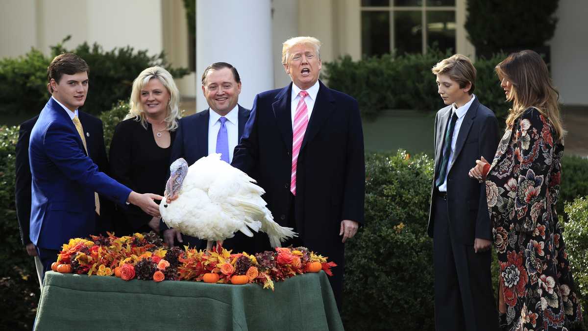 Trump pardons Thanksgiving turkeys Drumstick and Wishbone