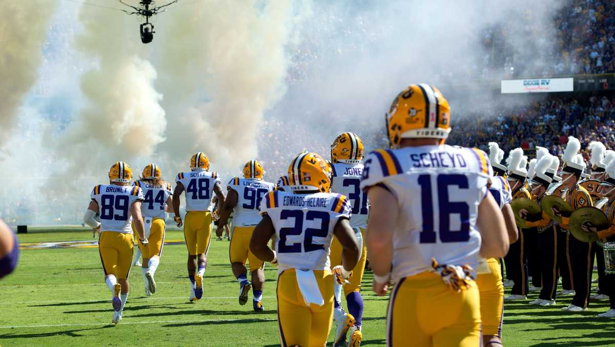 Look back: Check out these LSU photos from 2018 season