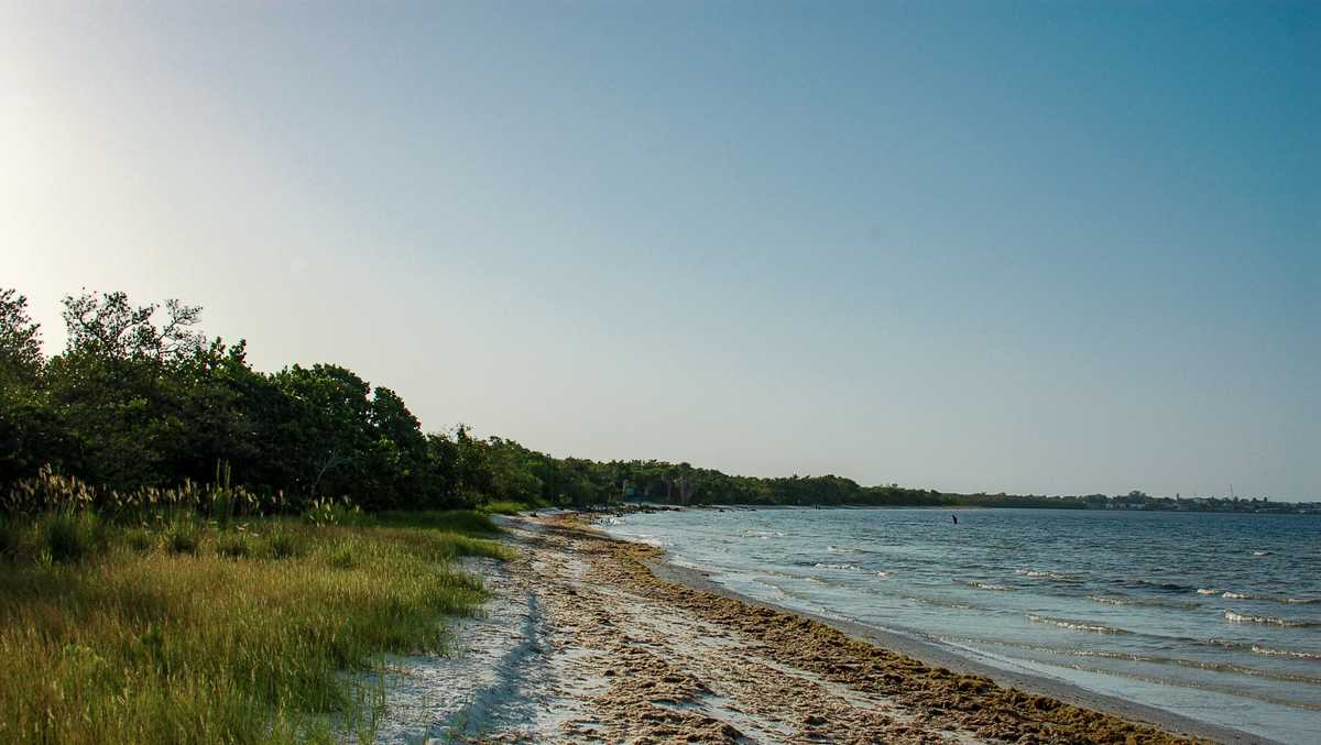 Beach access at San Carlos Bay-Bunche Beach Preserve in Fort Myers set ...