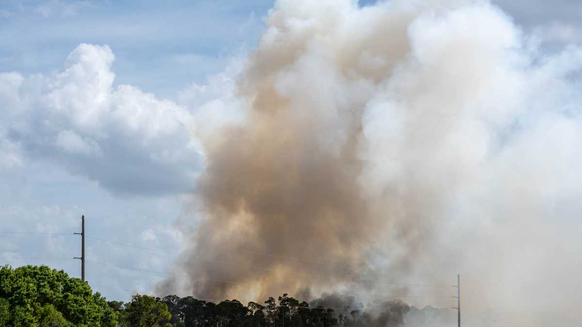 Crews battle brush fire near Gish Lane in North Fort Myers