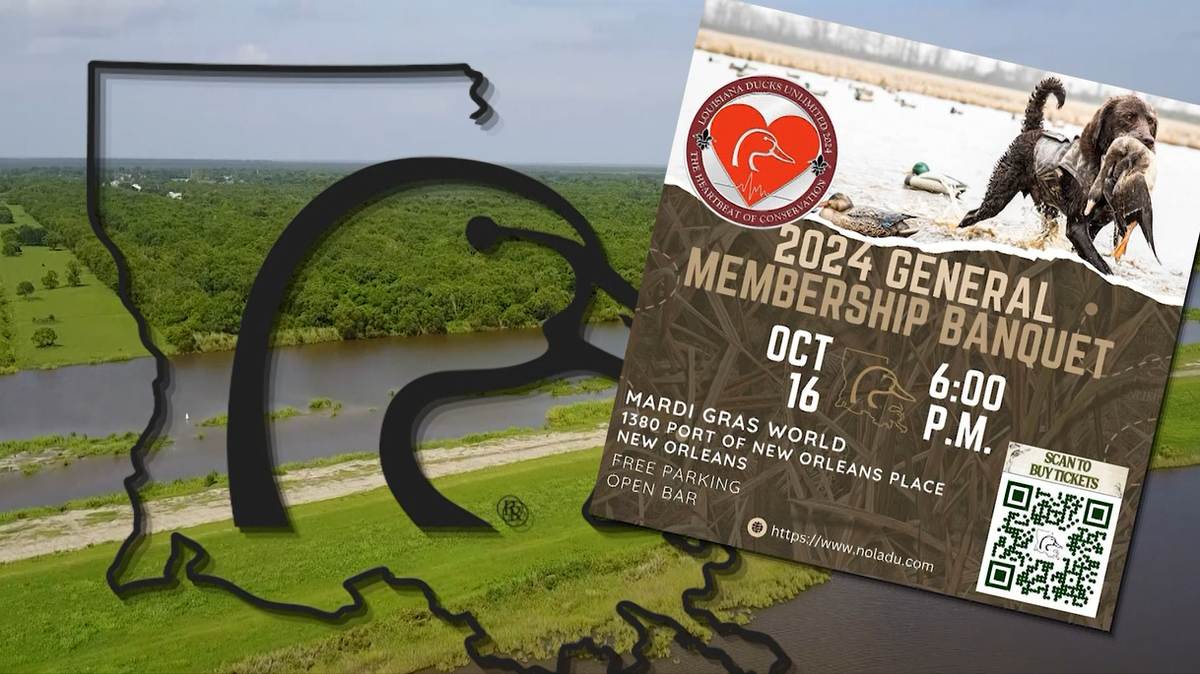 Ducks Unlimited is raising money and awareness for the need to protect ...
