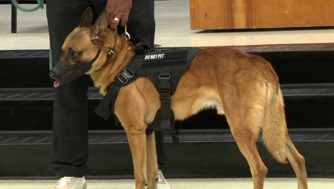 JPD K-9 retires after eight years of service