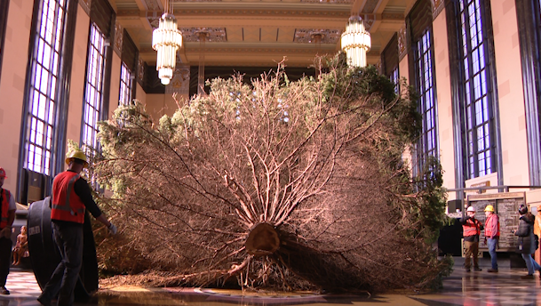 Union Pacific crews move Omaha Christmas tree into Durham Museum