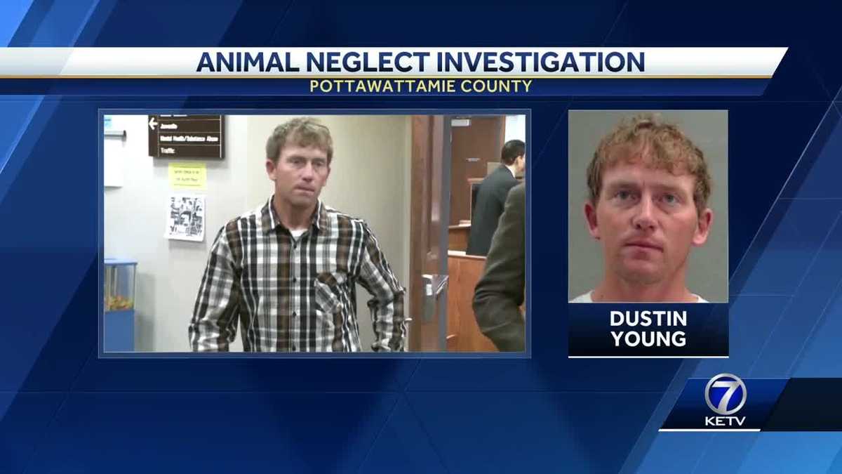 Proposed plea deal angers dog owners in animal neglect case