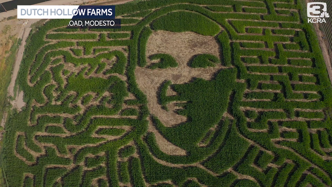 5 corn mazes to venture through in Northern California