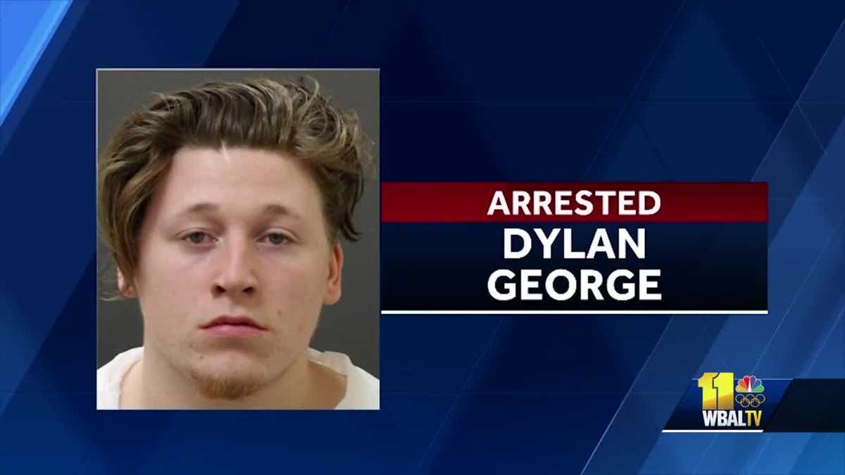 Suspects caught on video in Federal Hill break-in, beating