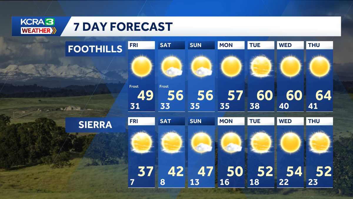 7 Day Forecast and Map Room