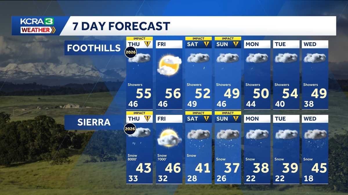 7 Day Forecast and Map Room