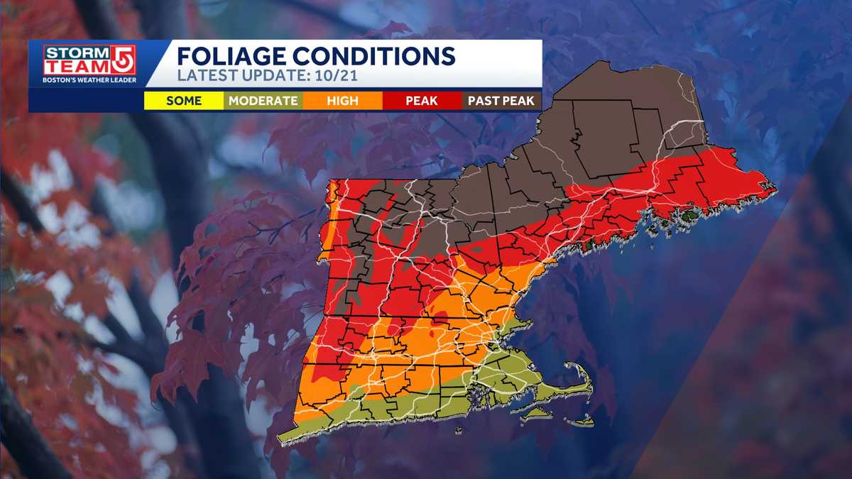 Fall foliage map: Track 2026 autumn colors across New England - WCVB