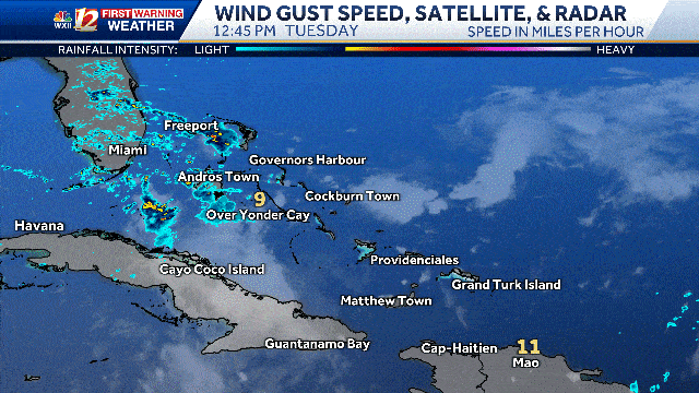 Atlantic Hurricane Season 2025 Looping Satellite and Radar Maps