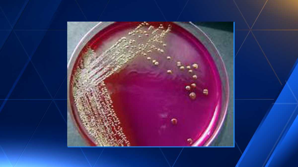 Swim alert issued after E. coli detected in area rivers