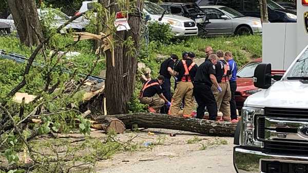 Coroner IDs man killed in tree-trimming accident on Cincinnati's west side