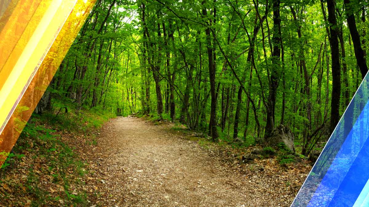 Eastern Trail Alliance reaches $4.1M fundraising goal