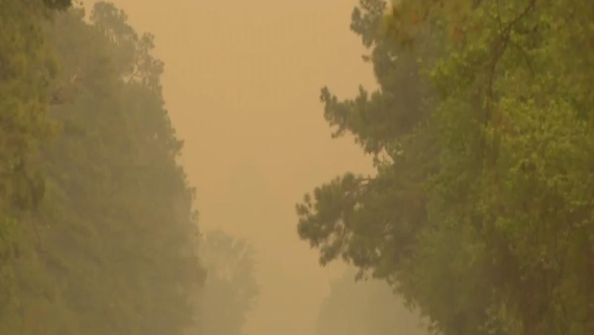 North Carolina wildfire updates: Fire believed to be man-made burns ...