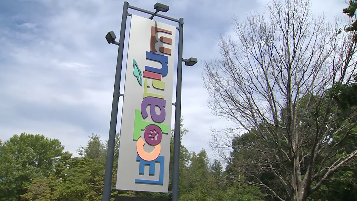 EcoTarium in Worcester plans to emerge from 'hibernation' in April
