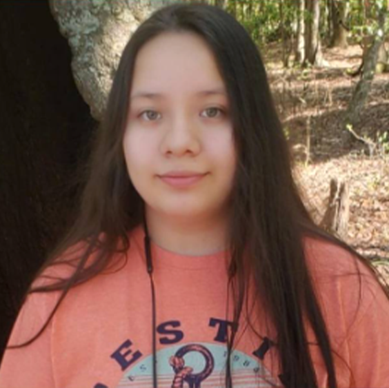 Georgia girl reported missing after security cameras disconnected