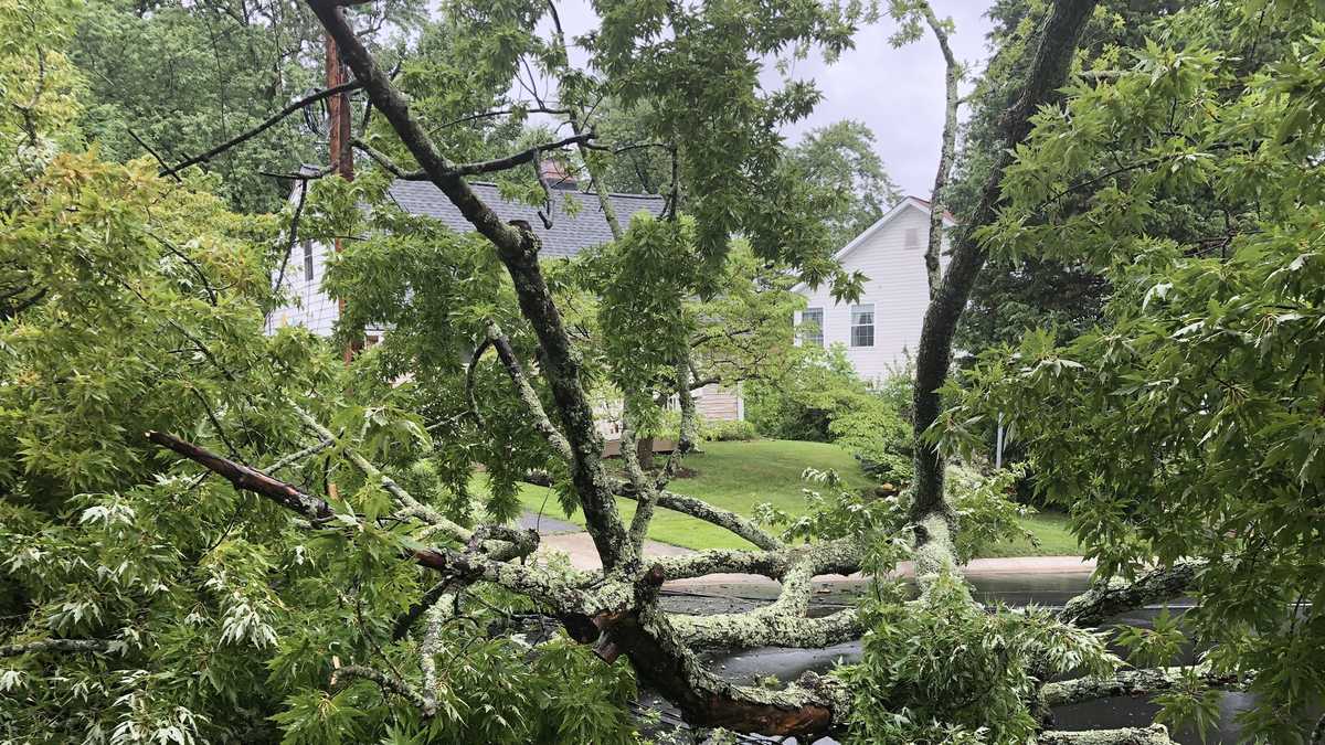 PHOTOS: Tropical Storm Isaias causes damage across Maryland