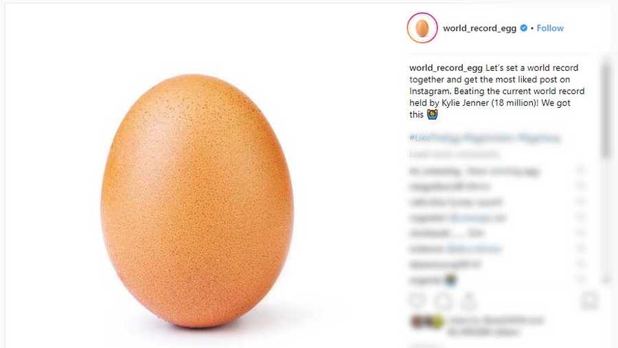 Instagram egg breaks into new business