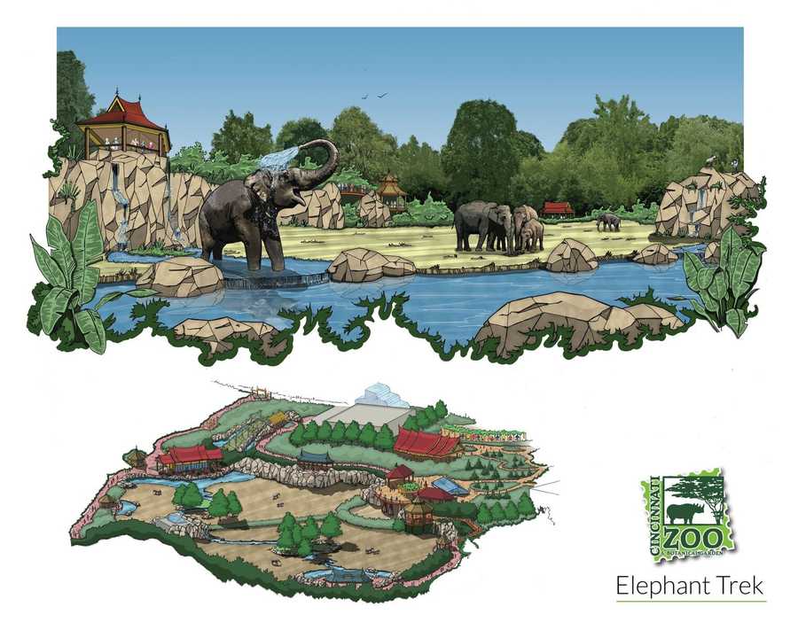 PHOTOS: Renderings of Cincinnati Zoo's big plans