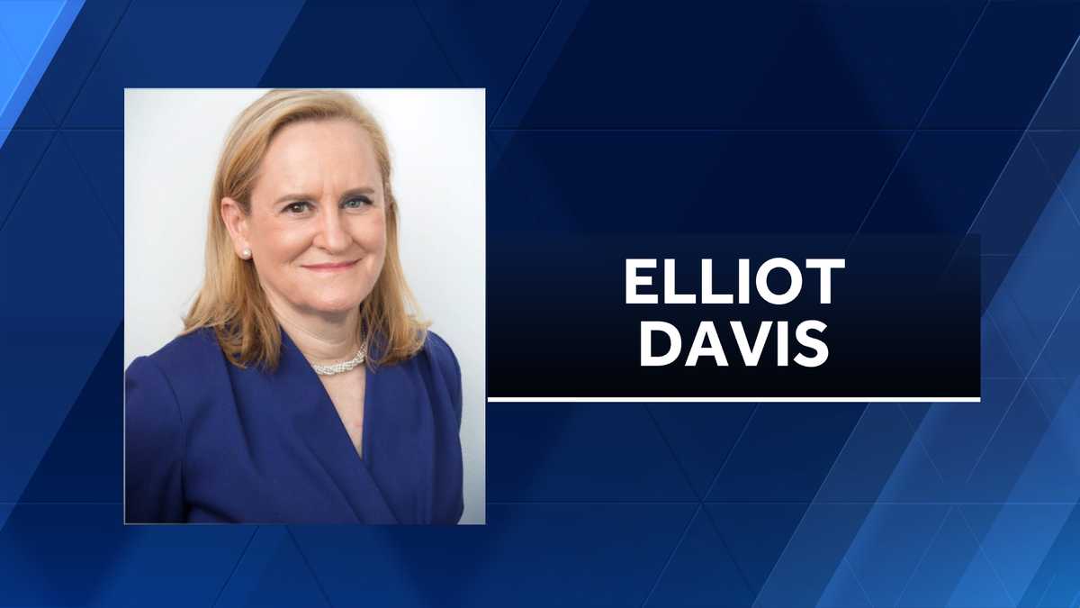 Elliot Davis named new director, ceo of Norton Museum of Art