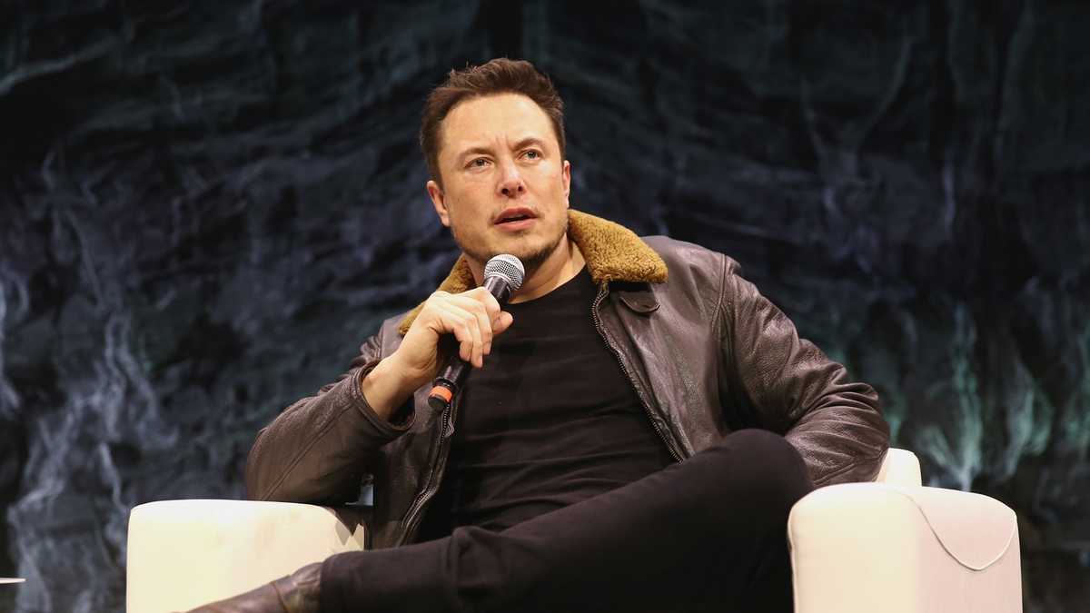 Democratic lawmakers, protesters rally against Elon Musk's role in ...