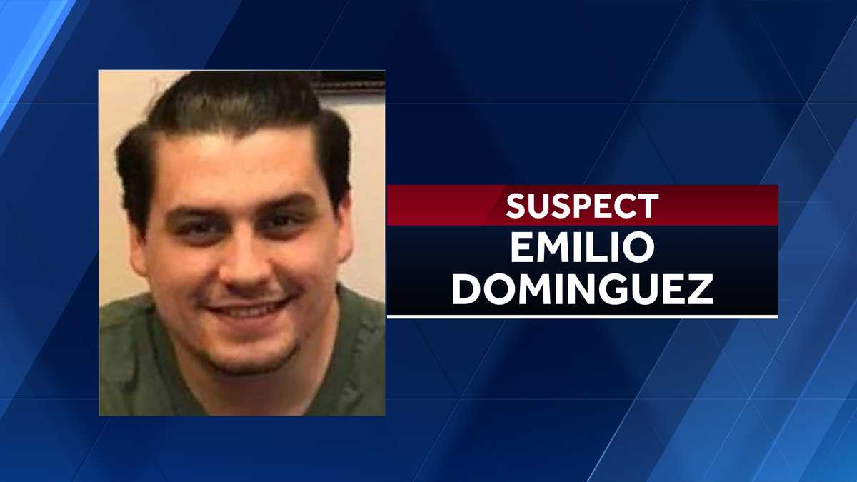 Detectives identify accused Irish Channel serial flasher caught on camera