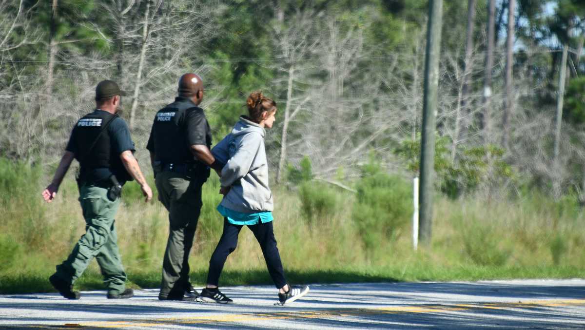 Lowcountry manhunt ends in arrest after police pursuit