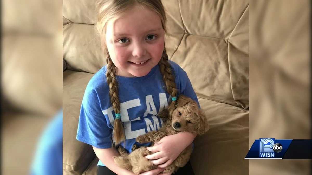 Girl with terminal cancer who received thousands of cards from dogs ...