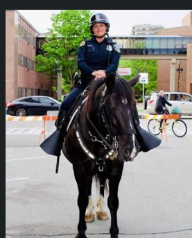 Milwaukee mounted patrol horse officer retires