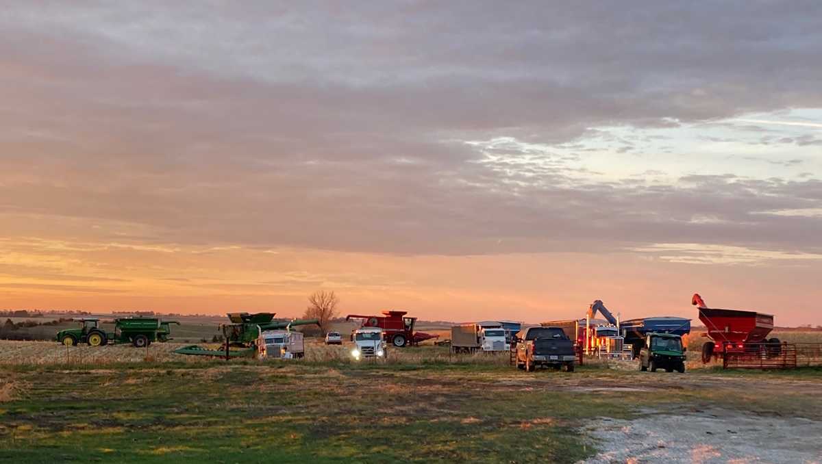 Iowa community comes together to harvest 5 farm fields for grieving family